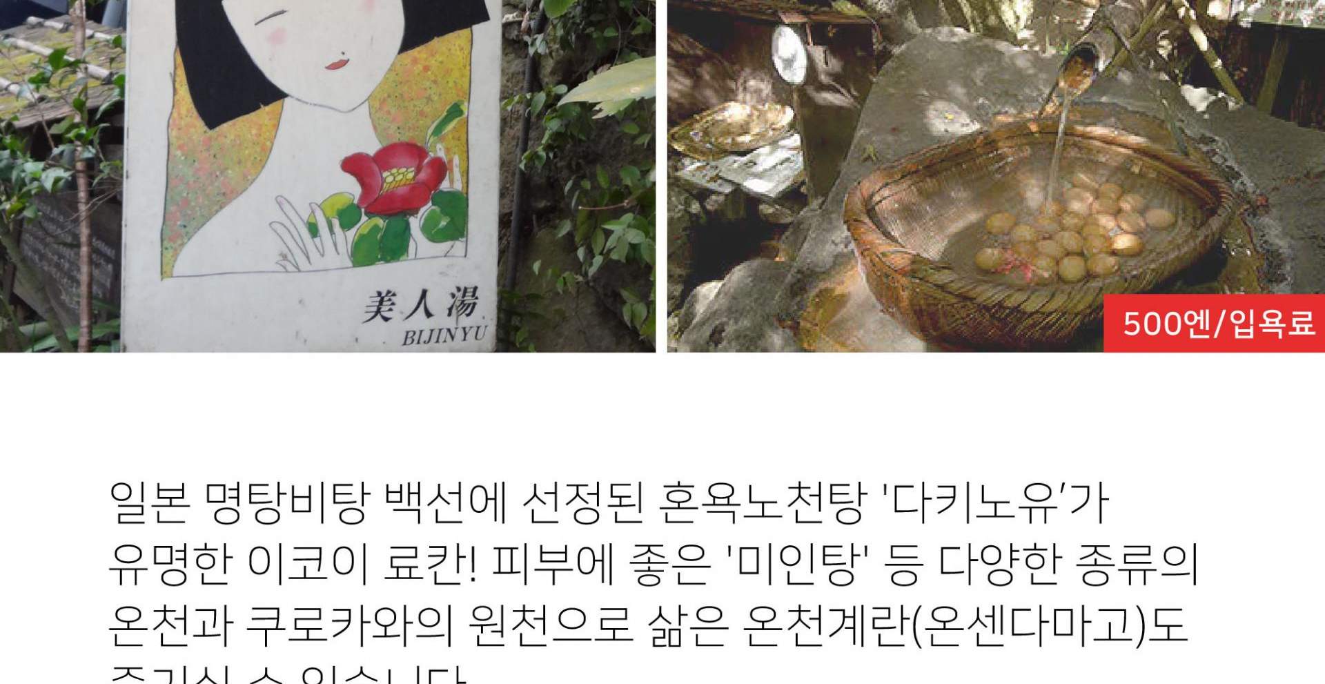 후쿠오카 유후인 And 쿠로가와 일일 버스투어 유투어버스쿠로가와 하차 가능 클룩 Klook 한국
